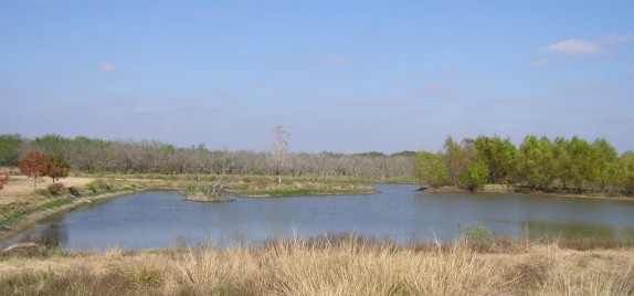 EL ASILO RANCH, 2870 acres, Frio County, TX – The Texas Ranch Company