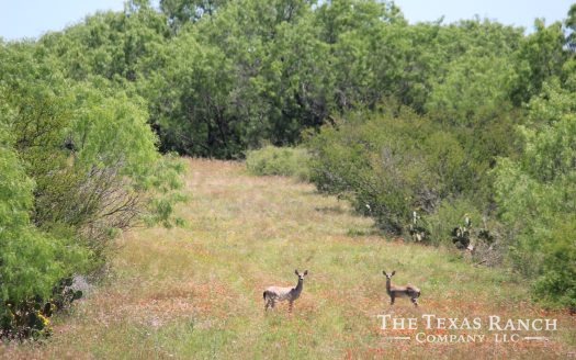 The Texas Ranch Company | The Texas Ranch Company