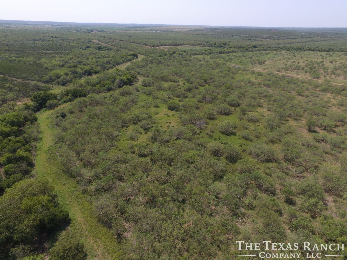 350 Acres, Frio County- Buckhorn Creek Ranch – The Texas Ranch Company