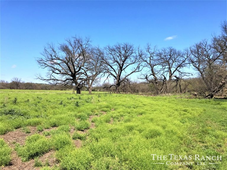 337 Acres, Sutton County, Davis River Ranch, TX | The Texas Ranch Company