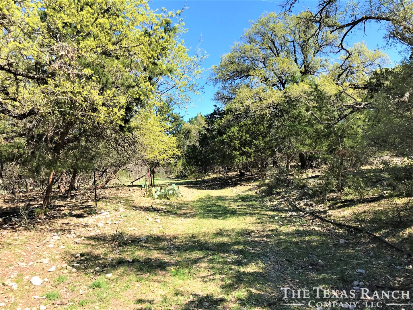 337 Acres, Sutton County, Davis River Ranch, TX | The Texas Ranch Company