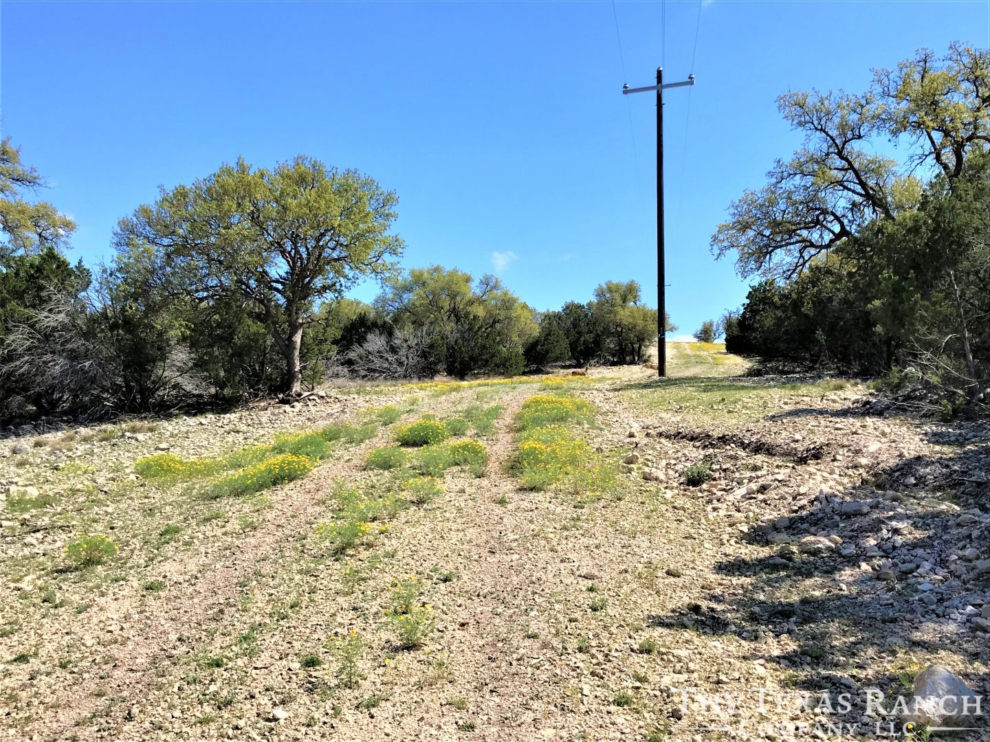 337 Acres, Sutton County, Davis River Ranch, TX | The Texas Ranch Company