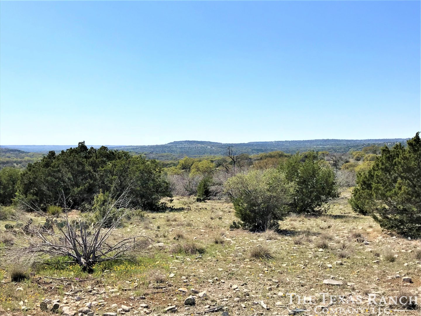 337 Acres, Sutton County, Davis River Ranch, TX | The Texas Ranch Company