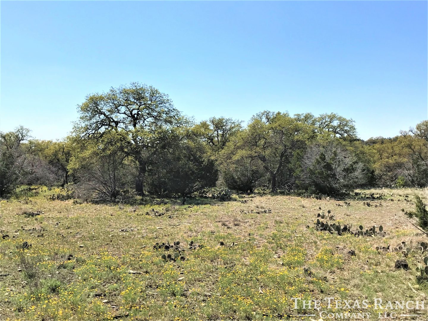 337 Acres, Sutton County, Davis River Ranch, TX | The Texas Ranch Company