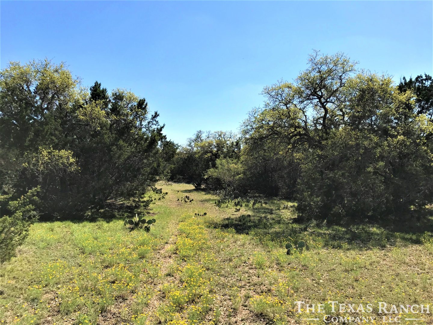 337 Acres, Sutton County, Davis River Ranch, TX | The Texas Ranch Company
