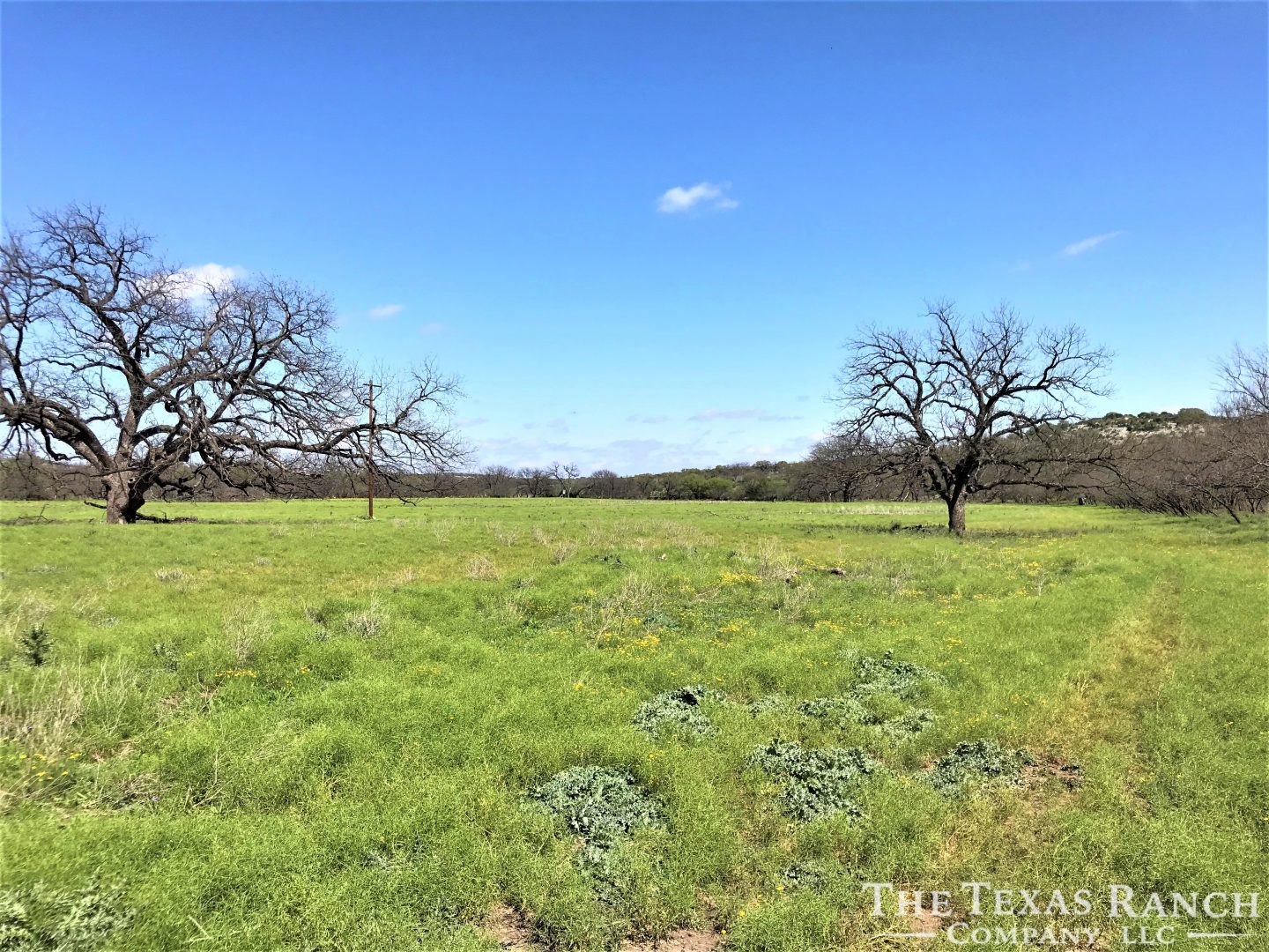 337 Acres, Sutton County, Davis River Ranch, TX | The Texas Ranch Company