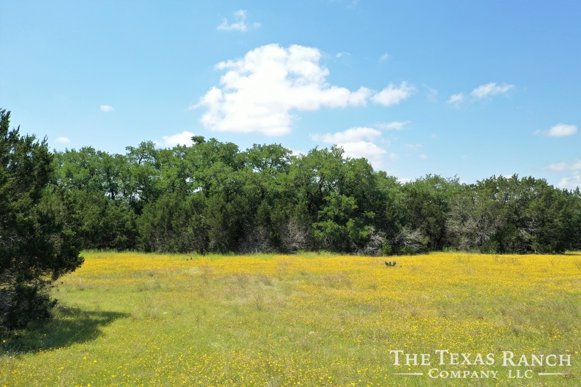 146 Acres, Travis County- Flat Creek Ranch – The Texas Ranch Company
