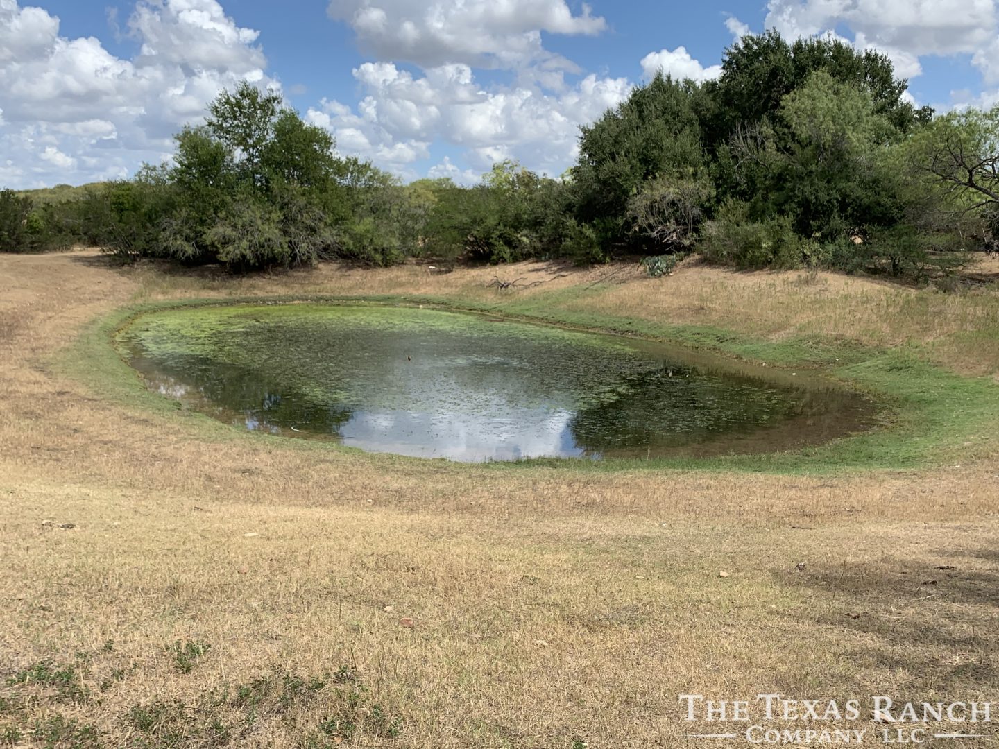 207 Acres, Frio County, Texas- Briar Patch Ranch- SOLD! | The Texas ...