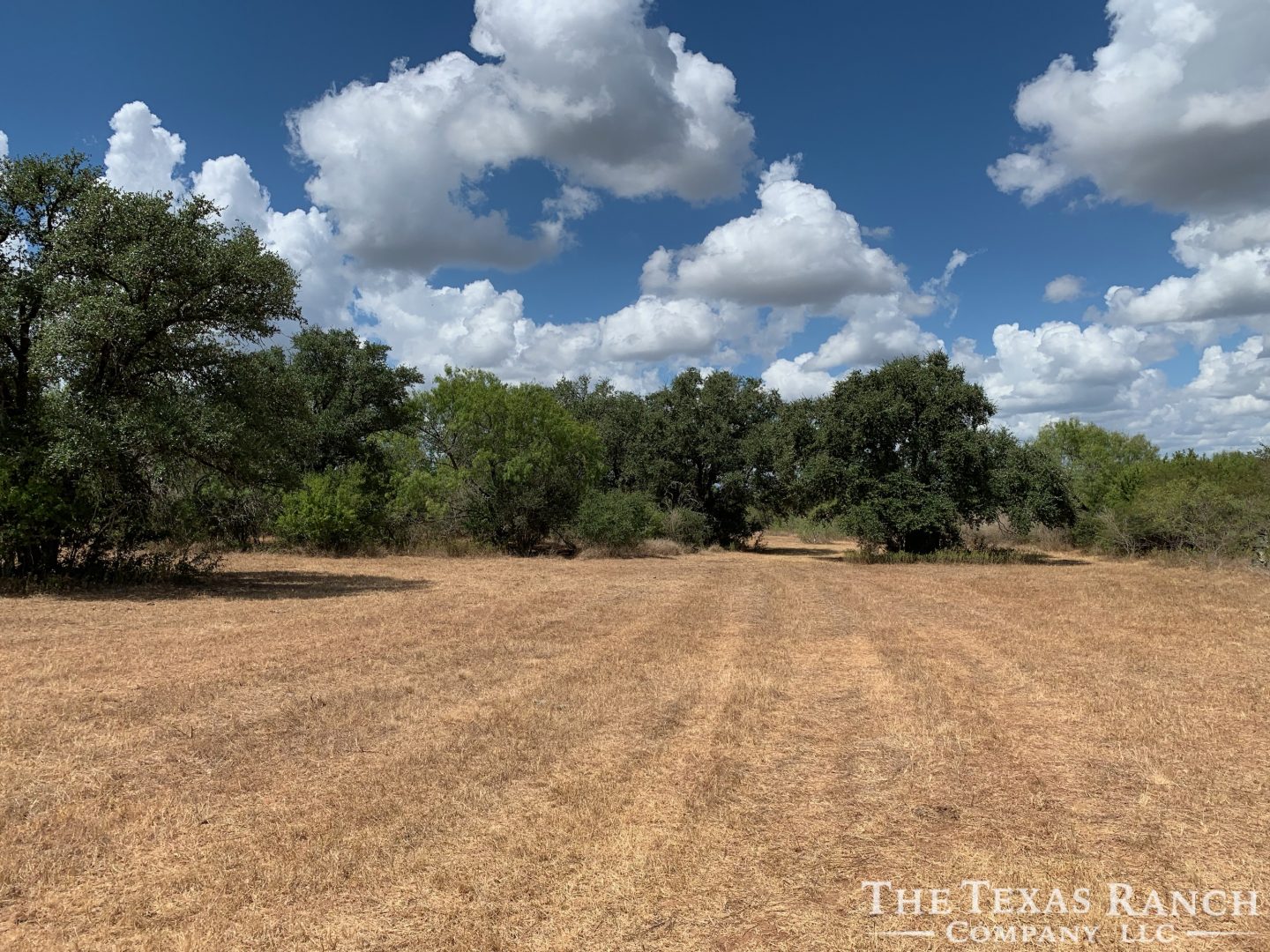 207 Acres, Frio County, Texas- Briar Patch Ranch- SOLD! | The Texas ...