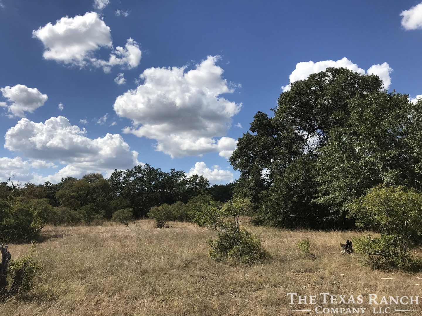 62 Acres, Hays County, Texas – The Texas Ranch Company