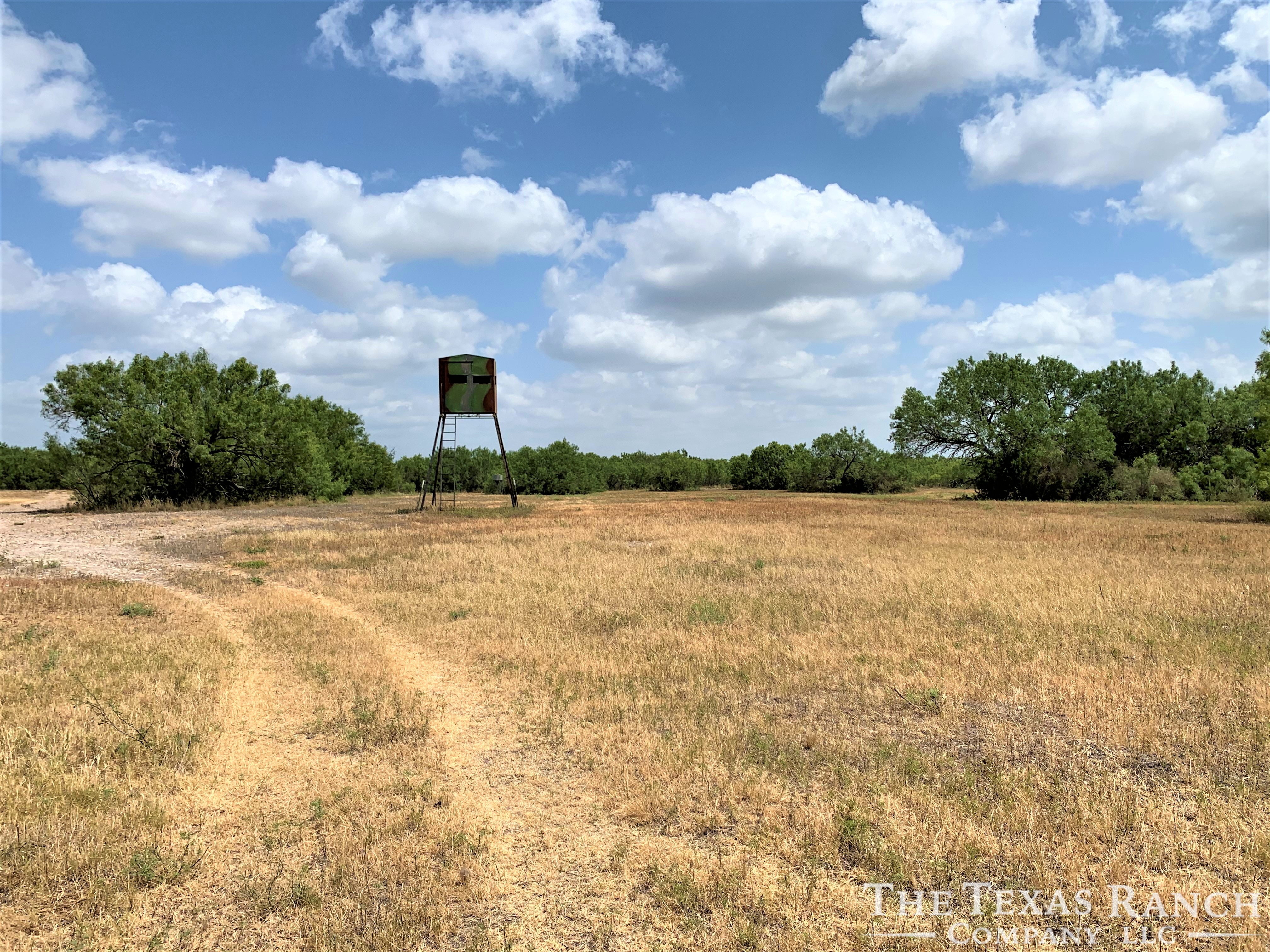 Available | Action | The Texas Ranch Company