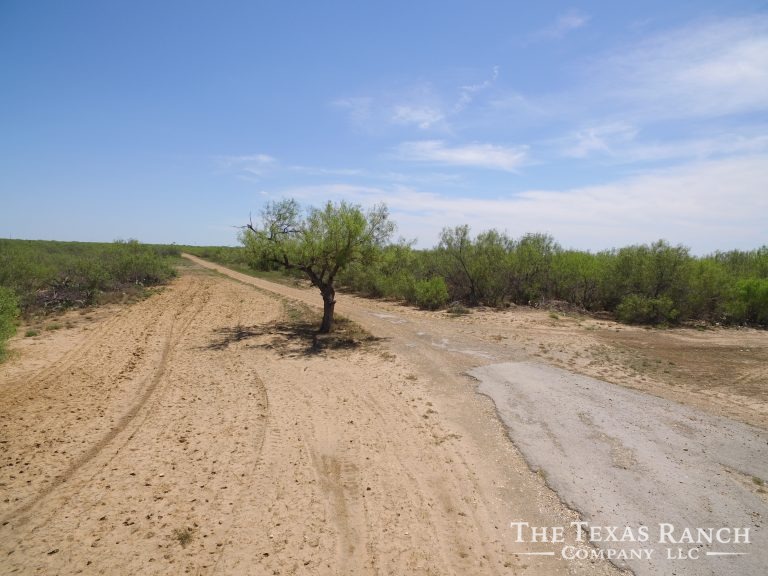 225 acres Dimmit County, Texas | The Texas Ranch Company