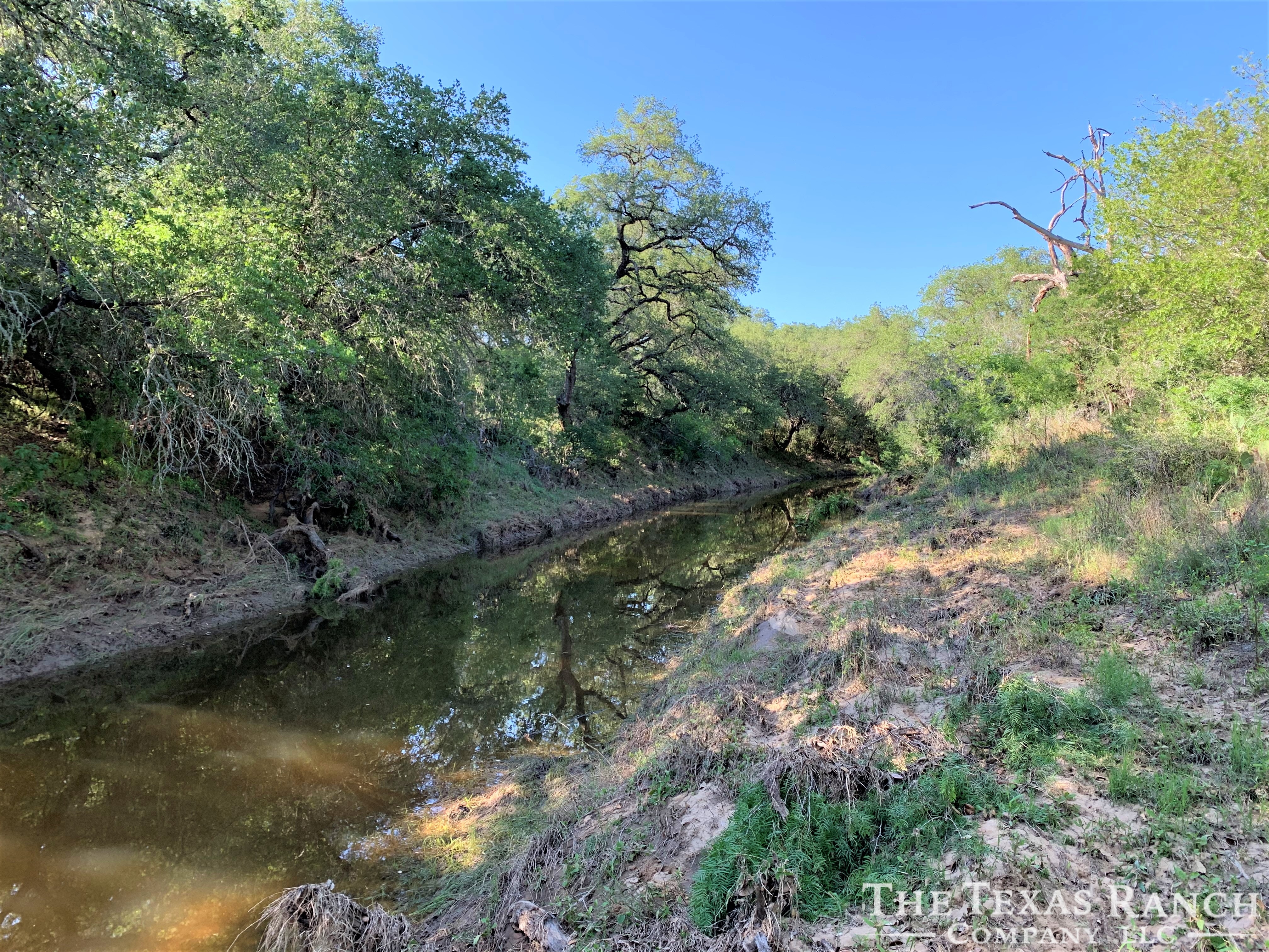 220 Acres, Atascosa County, Texas – The Texas Ranch Company