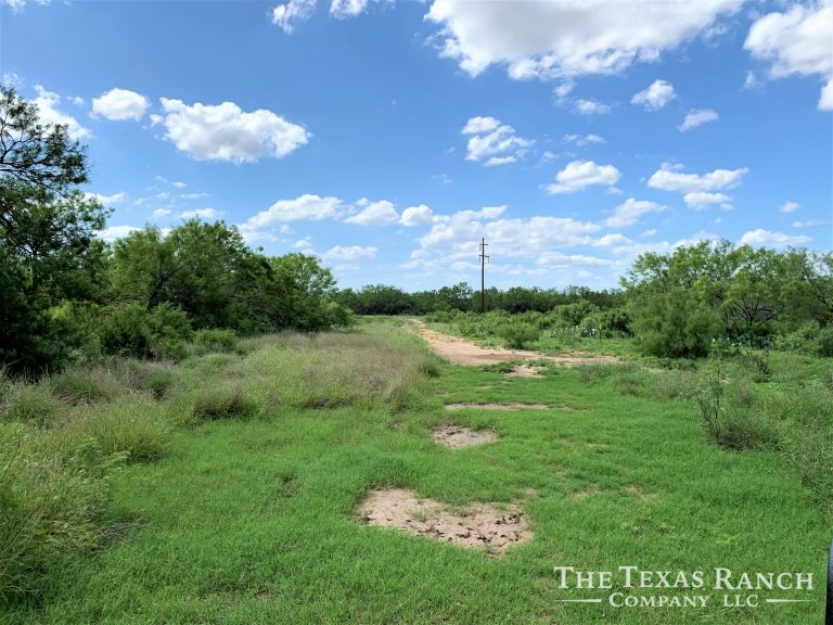 1,126 Acres, Dimmit County, Texas | The Texas Ranch Company