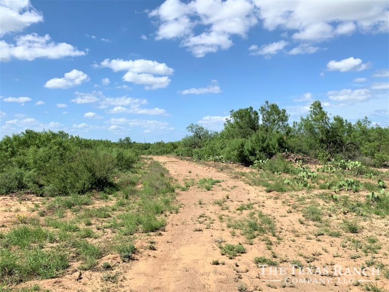 1,126 Acres, Dimmit County, Texas | The Texas Ranch Company