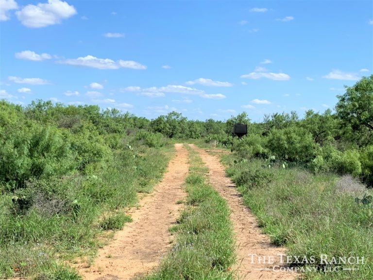 1,126 Acres, Dimmit County, Texas | The Texas Ranch Company