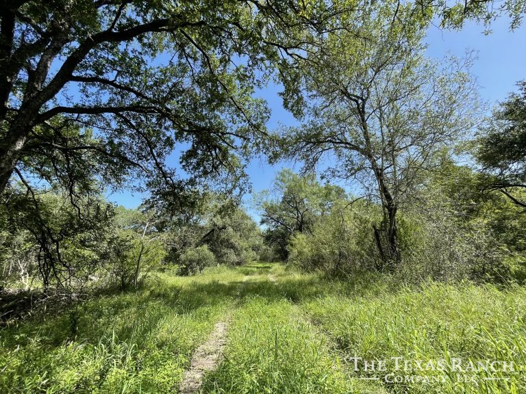 1,700 Acres, Frio River Ranch | The Texas Ranch Company
