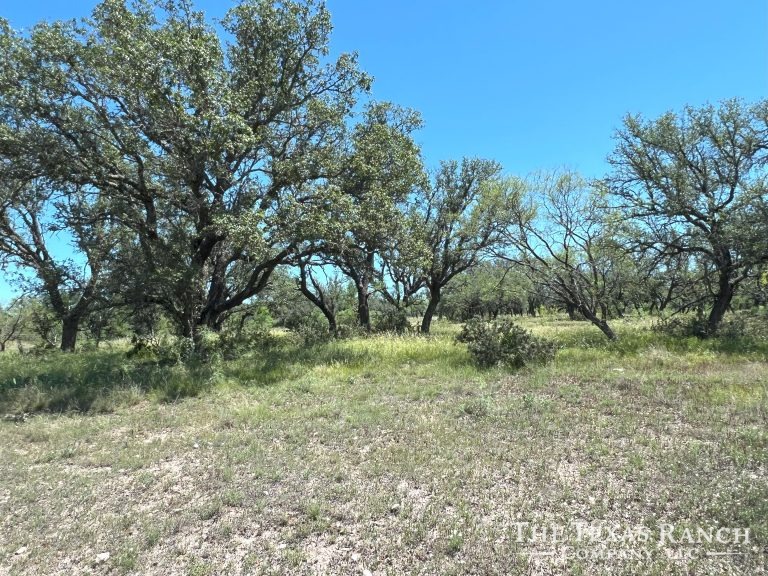 1,115 Acres, Menard County, Texas | The Texas Ranch Company