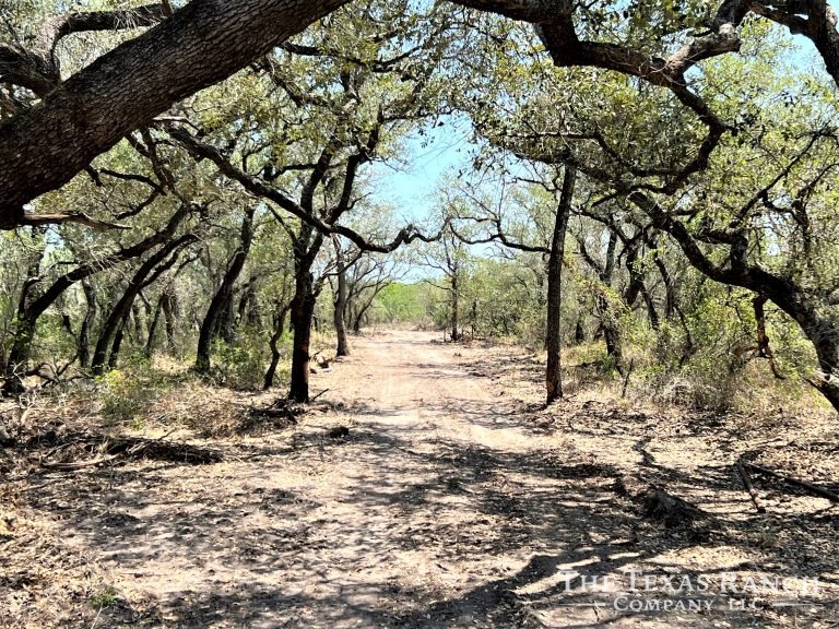 200 Acres, Refugio County, Texas | The Texas Ranch Company
