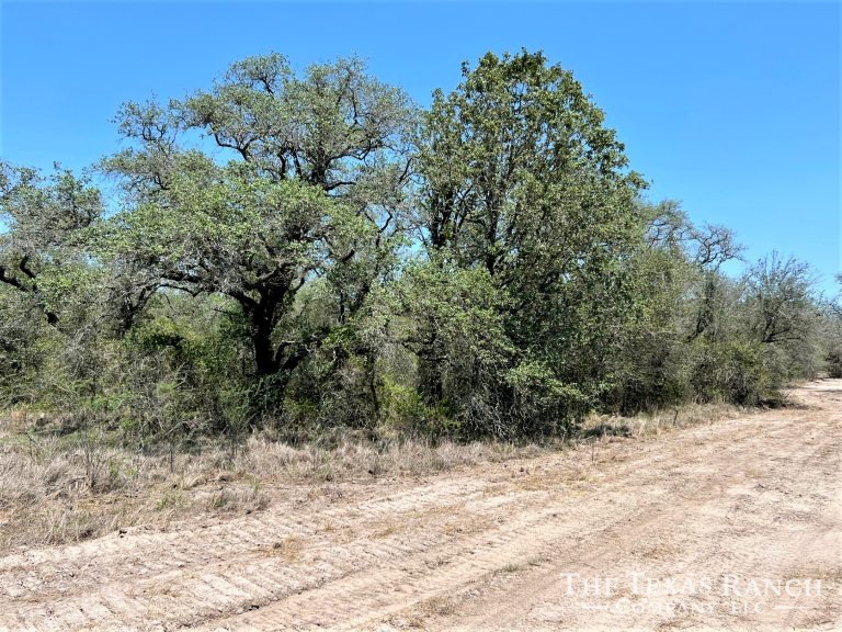 200 Acres, Refugio County, Texas | The Texas Ranch Company