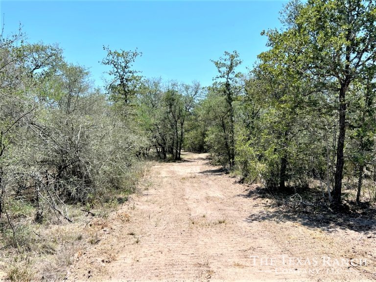 200 Acres, Refugio County, Texas | The Texas Ranch Company