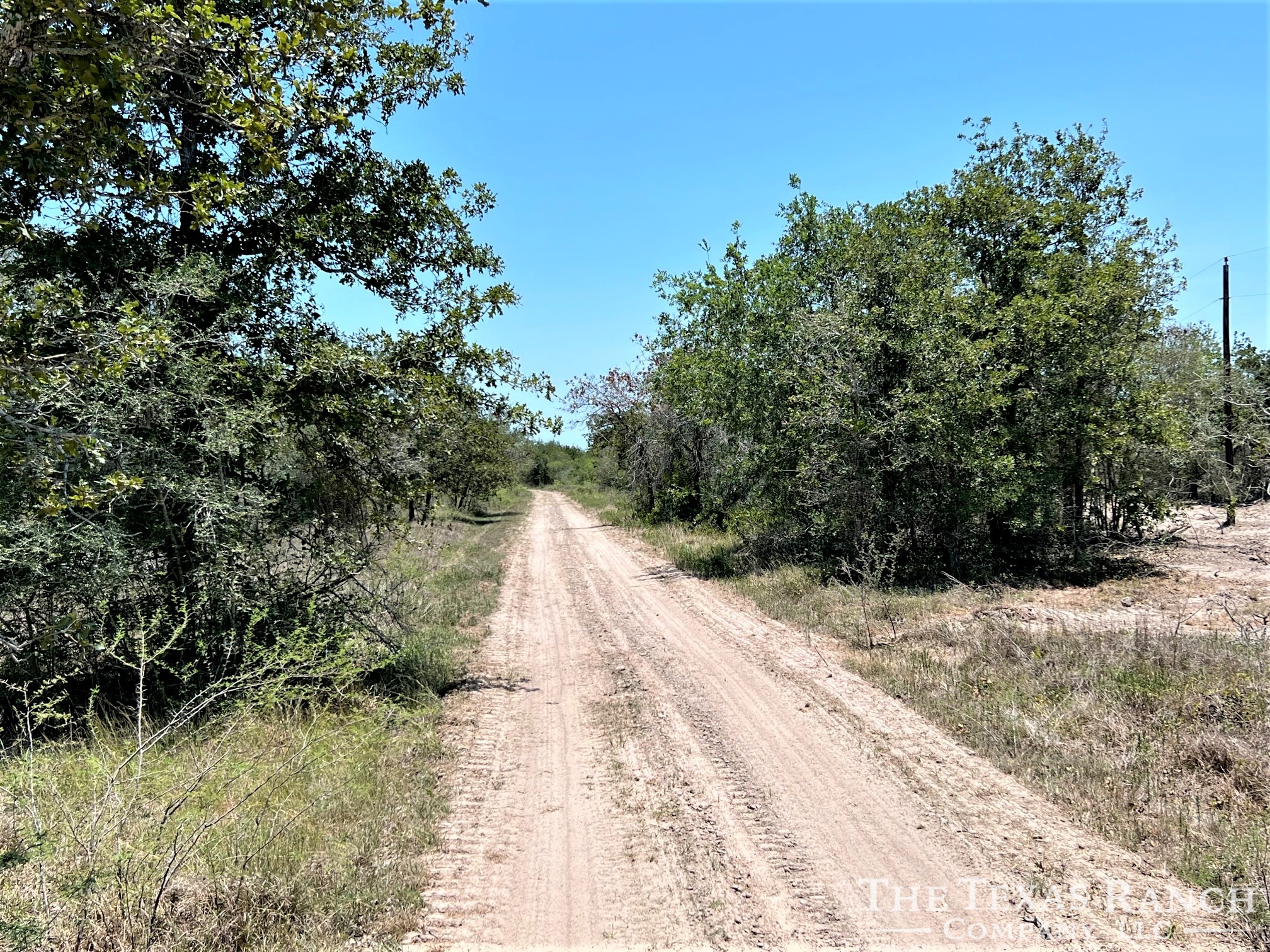 100 Acres, Refugio County, Texas | The Texas Ranch Company