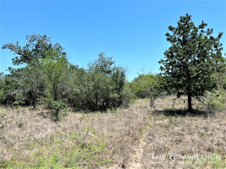 200 Acres, Refugio County, Texas | The Texas Ranch Company
