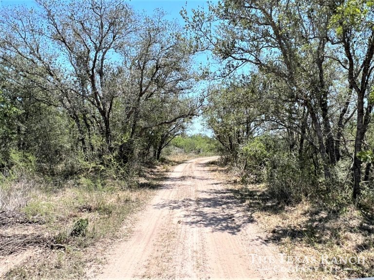 200 Acres, Refugio County, Texas | The Texas Ranch Company