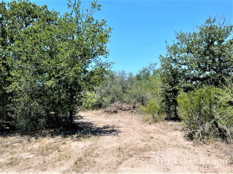 200 Acres, Refugio County, Texas | The Texas Ranch Company