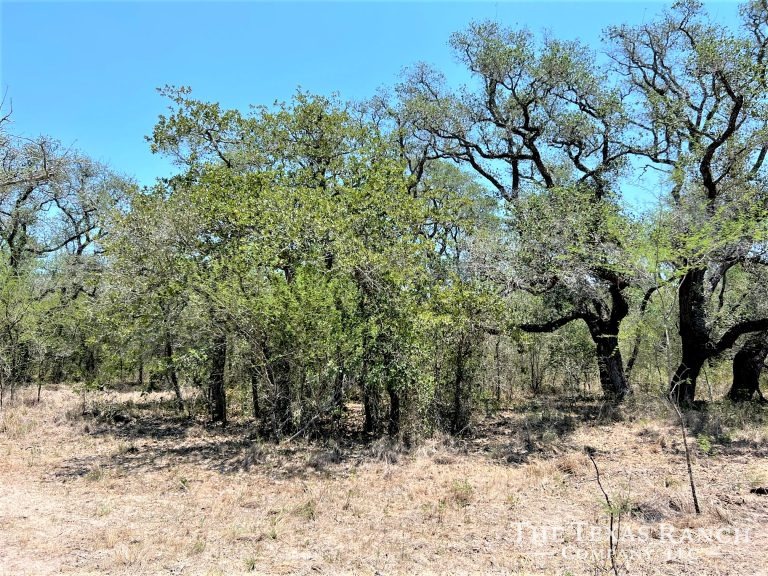 200 Acres, Refugio County, Texas | The Texas Ranch Company
