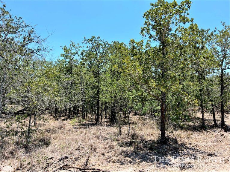 200 Acres, Refugio County, Texas | The Texas Ranch Company