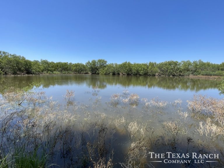 1,285 acres in Frio County, Texas | The Texas Ranch Company