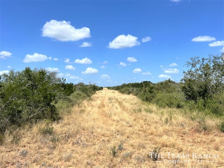 309 Acres, Frio County Texas | The Texas Ranch Company