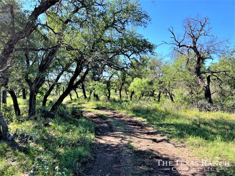 1,096 acres in Menard County, Texas | The Texas Ranch Company