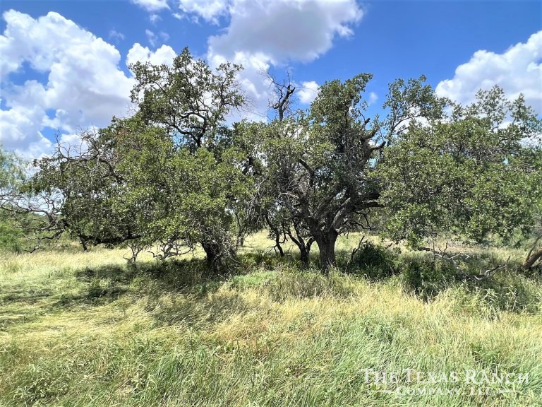 1,096 acres in Menard County, Texas | The Texas Ranch Company