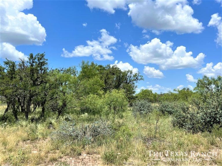 1,096 acres in Menard County, Texas | The Texas Ranch Company