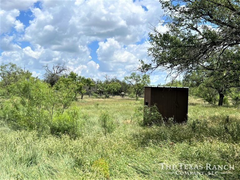 1,096 acres in Menard County, Texas | The Texas Ranch Company