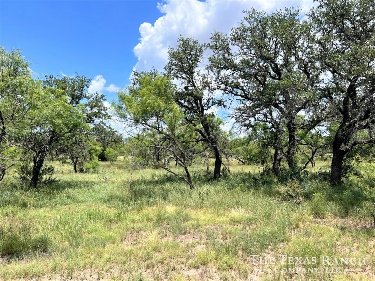 1,096 acres in Menard County, Texas | The Texas Ranch Company