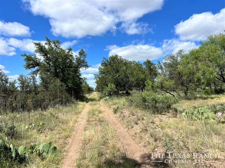 1,096 acres in Menard County, Texas | The Texas Ranch Company