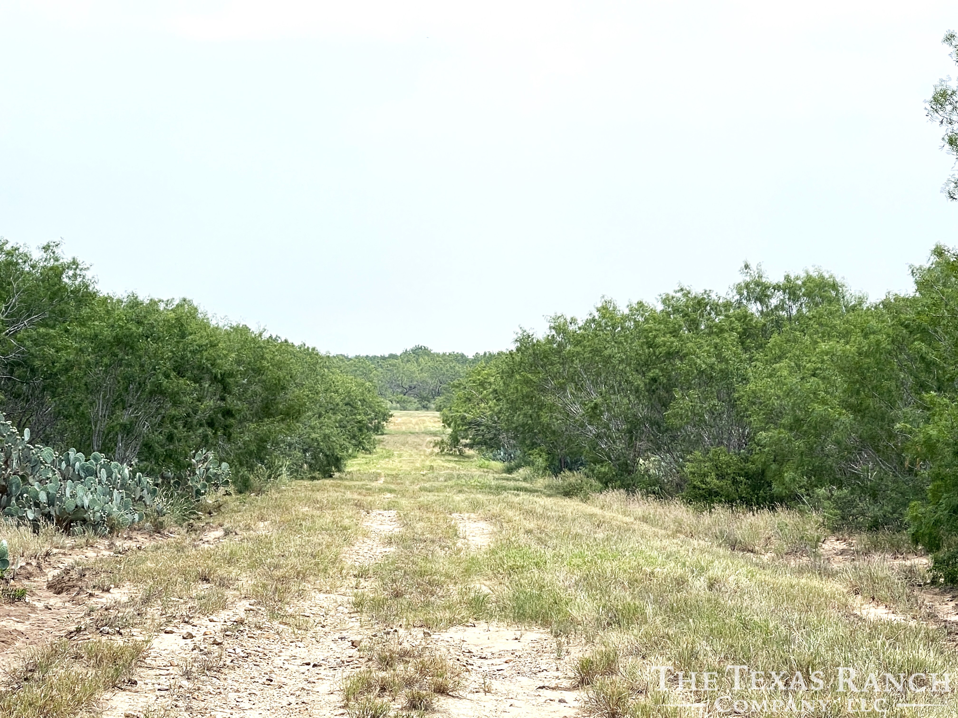 645 Acres in Frio County, Texas – The Texas Ranch Company