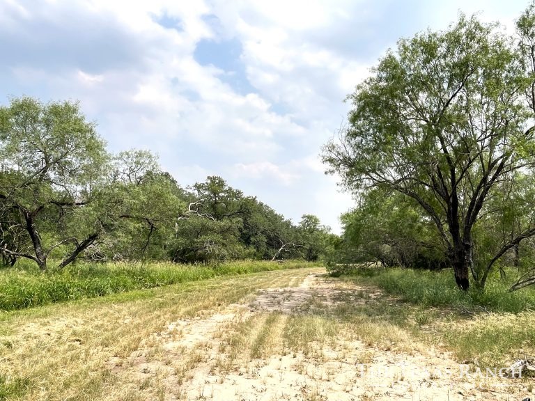 645 Acres in Frio County, Texas | The Texas Ranch Company