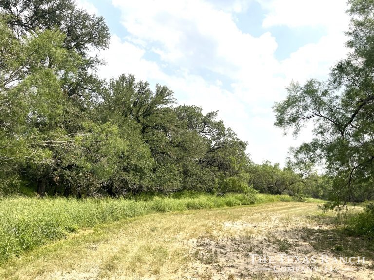 645 Acres in Frio County, Texas | The Texas Ranch Company