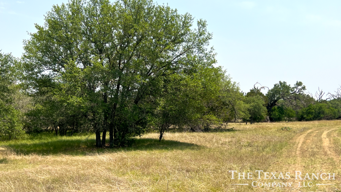 92 Acres, Bandera County, Texas – The Texas Ranch Company